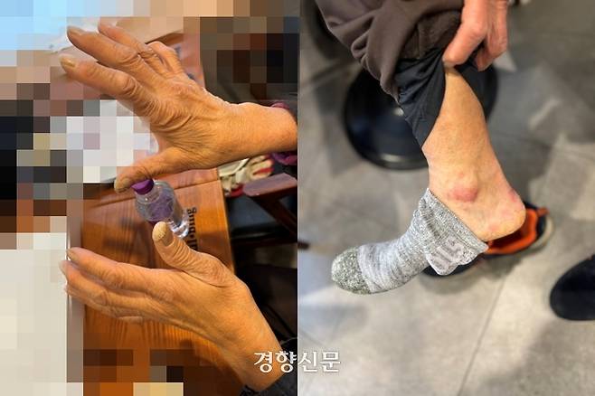 폐지 수집가난과 착취의 손수레를 끌다