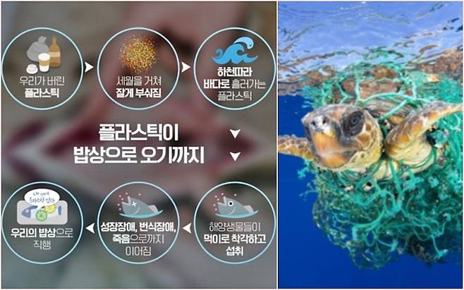 바다거북 다음은 인간”‘암 유발 미세플라스틱 위험 쑥 정부 연구비는 뚝