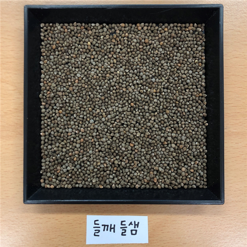 영농기술 Pick 벼·콩·팥·녹두·들깨 신품종 30종 신청하세요2월14일까지 시·군농기센터서