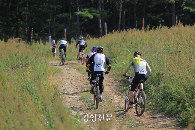 산악승마·산악스키·산악자전거 뜨는데···‘산림레포츠지도사 자격 노려볼까