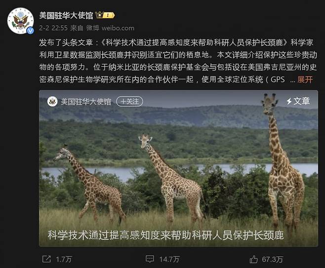 제 주식 왜 이럴까요美 대사관 Sns 몰려간 中 개미들