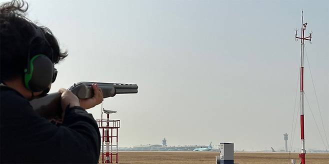훠이∼” 충돌사고 날라 인천공항 새 쫓기 대작전