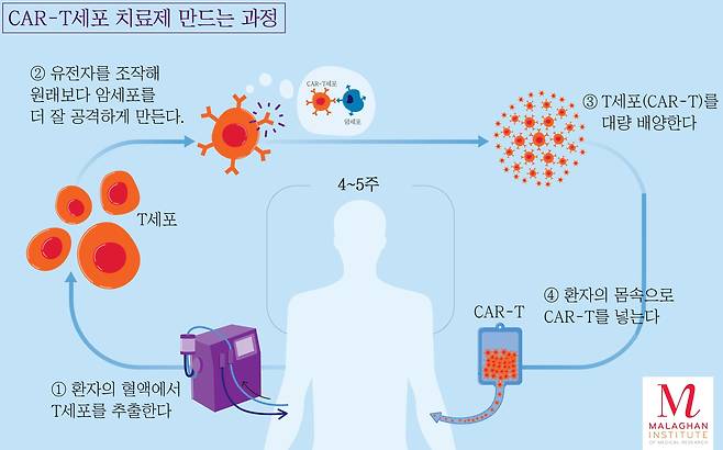 사이언스샷 암세포 모방한 세포치료제 항암 효과 50배 향상