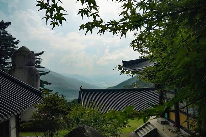 꽃피는 봄 지리산 섬진강 품은 ‘화엄사 순례길 걸어요”