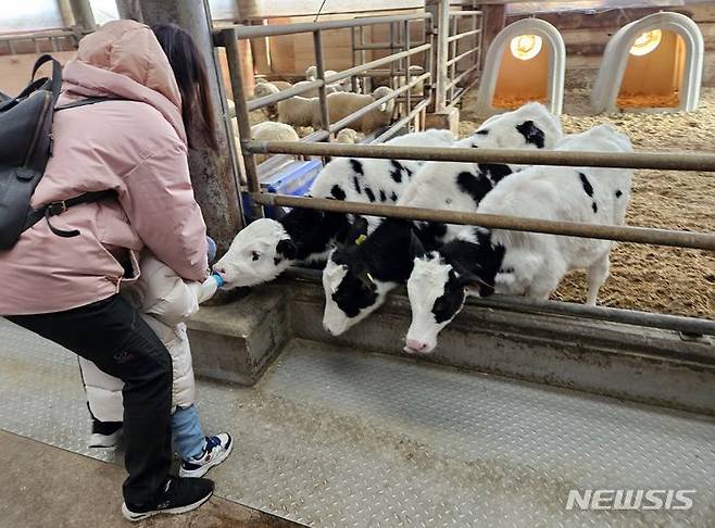 현장 전북 고창서 유럽풍 농장 체험을 매일유업 상하농원 가보니