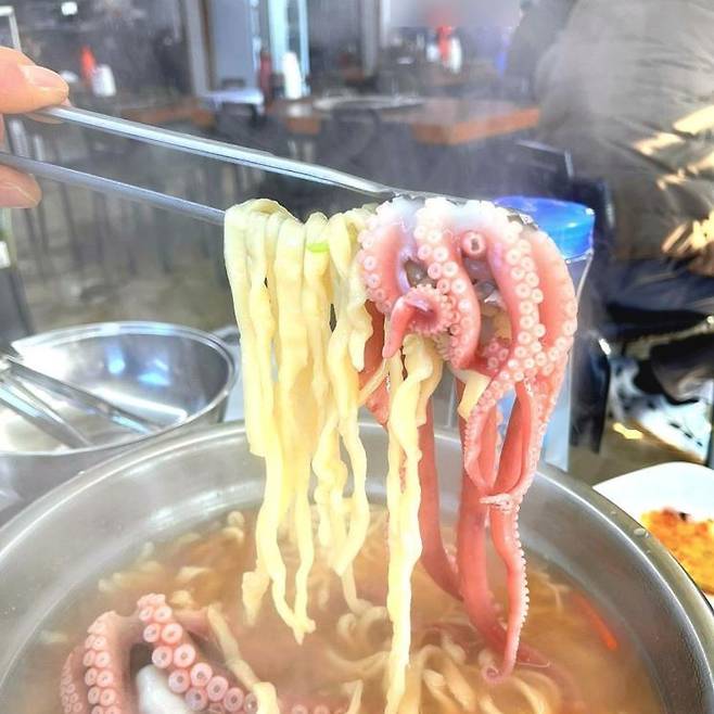 겨울 제철 낙지 칼국수 맛집 4 에스콰이어 코리아