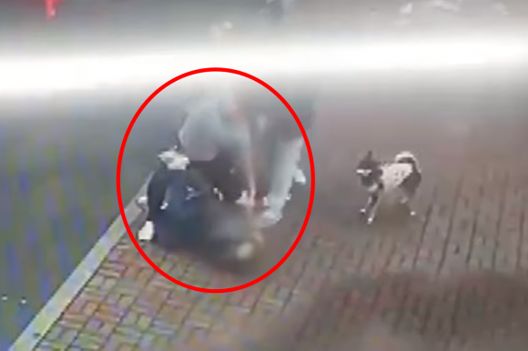 놀이터 근처 담배피운 女와 폭행한 주짓수 관장의 엇갈린 진술
