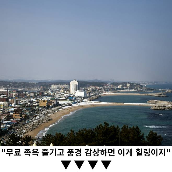 봄꽃 여행지하면 이 곳을 빼놓을 수 없지 다양한 봄꽃 축제 열리는 국내 여행지 여행탐구