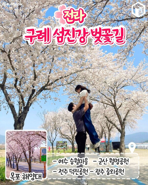 전국 2024 벚꽃 명소 추천 총정리 여행톡톡