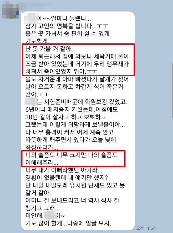 모친상 당한 9년 지기에 앵무새 죽어서 못 가