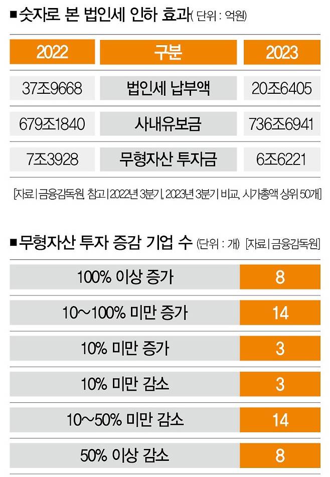 법인세 인하 후 50대 기업 무형자산 투자 10 줄었다 視리즈