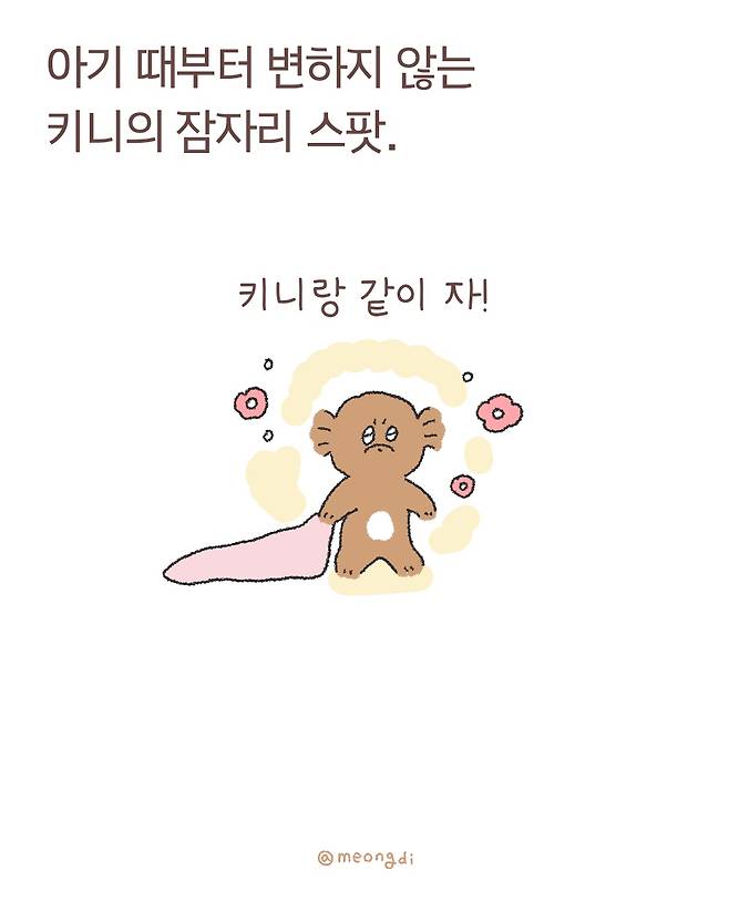 아기가 무서울까 봐 같이 자주는 강아지 키니일기