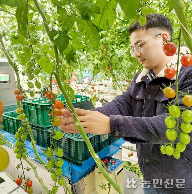 농민 뒤 졸졸 ‘운반로봇무거운 수확물 옮기고 자동 하역