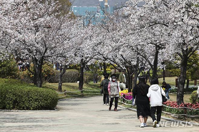 김해 연지공원 ‘벚꽃과 튤립 개화 시작이달 중순 이어질듯
