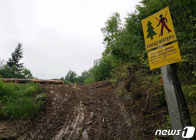 폴란드 산악지역서 시속 155km 돌풍쓰러진 나무에 5명 사망