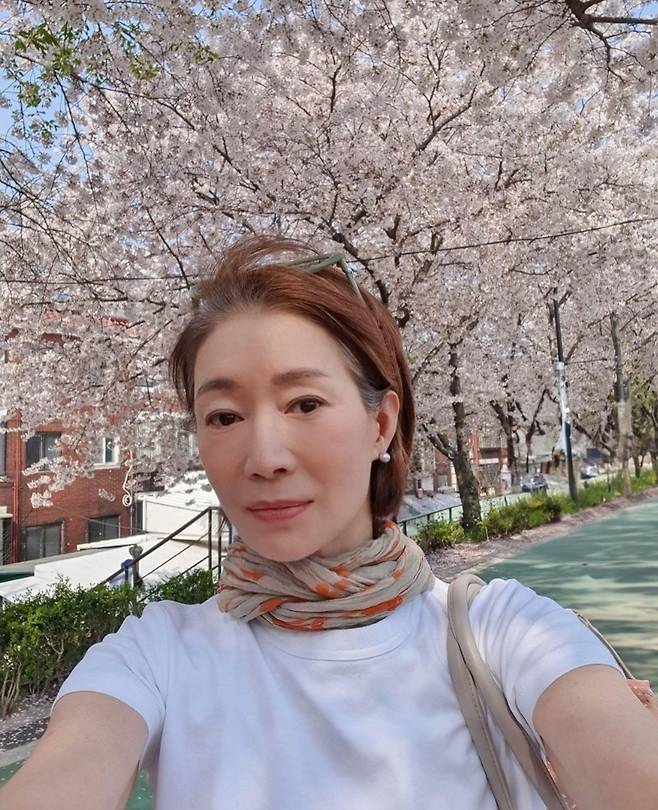 나영희 멋을 아는 62세 핑크빛 벚꽃의 계절스카프 조거 팬츠룩 스타와 패션