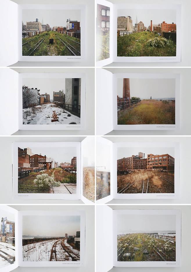 김진영의 사진집 이야기 조엘 스턴펠드joel Sternfeld의 하이 라인을 걷다walking The High Line