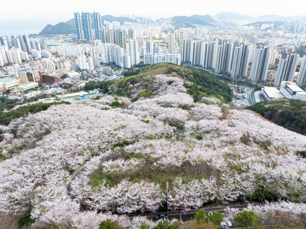 부산 울산 경남 내일까지 비강수량 20∼60㎜
