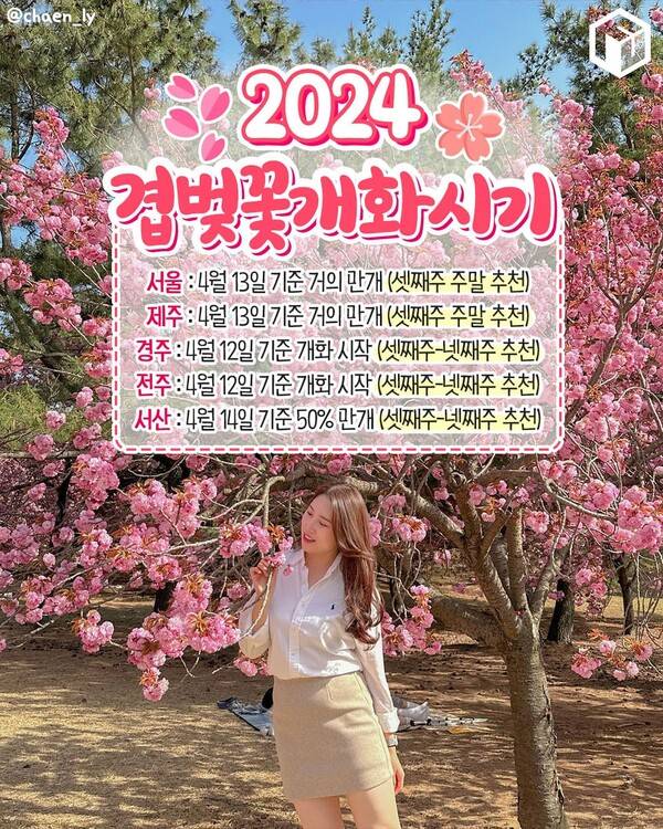2024 겹벚꽃 명소 추천 Best8 겹벚꽃 개화시기 여행톡톡