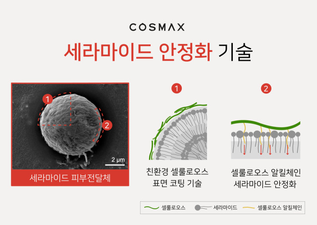코스맥스 셀룰로오스 코팅 기술 개발··· 세라마이드 화장품 결정화 개선”