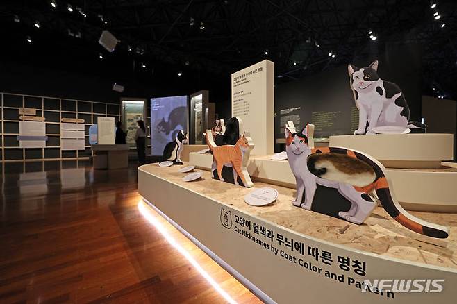 집사와 함께 세계정복요물 우리를 홀린 고양이 특별전