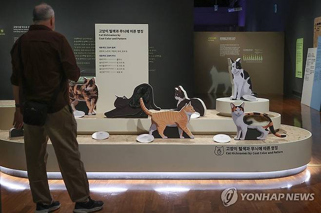 국립민속박물관 특별전 요물 우리를 홀린 고양이