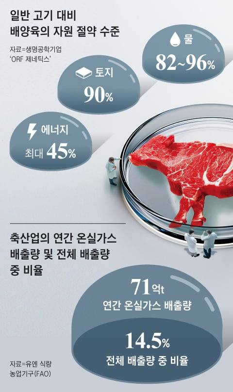 소 한 마리로 패티 10억개실험실 뚫고 나온 ‘지배종 속 배양육
