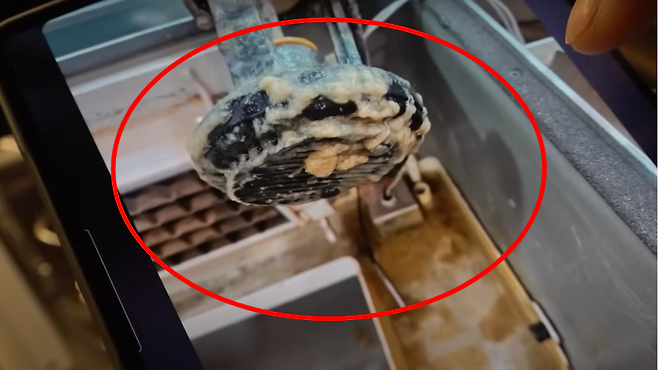 이거 보면 커피 못 마셔 곰팡이 범벅 카페 제빙기에 경악