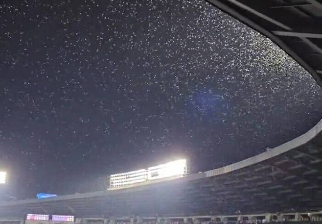 ‘천덕꾸러기 동양하루살이 잠자리가 먹어치운다면