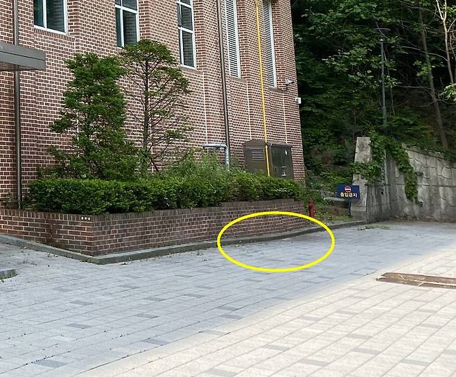 연대 기숙사 화단서 금간 벽돌 발견붕괴 의혹 논란 출동인턴