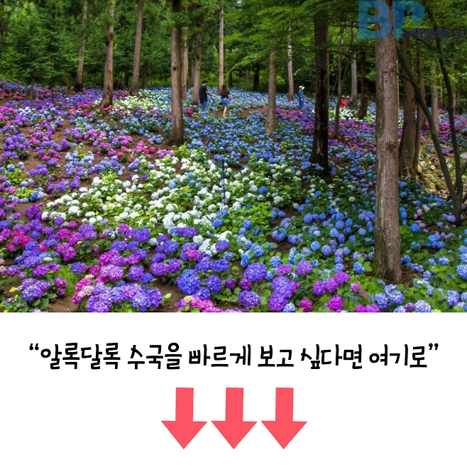 한국인에게 가장 인기있는 나라에서 한 눈 팔면 안 되는 이유 여행탐구