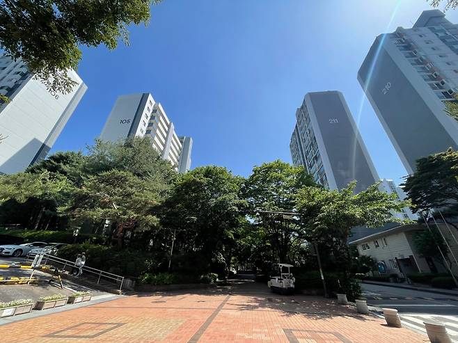 르포 ‘사업성 1위 분당은 선도지구 기대감 증폭 분담금·사업기간 부담도”