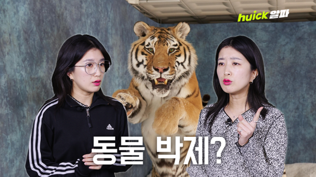 멸종위기 호랑이 박제 두 번 죽이는 것 Vs 기록·교육 위해 필요 영상