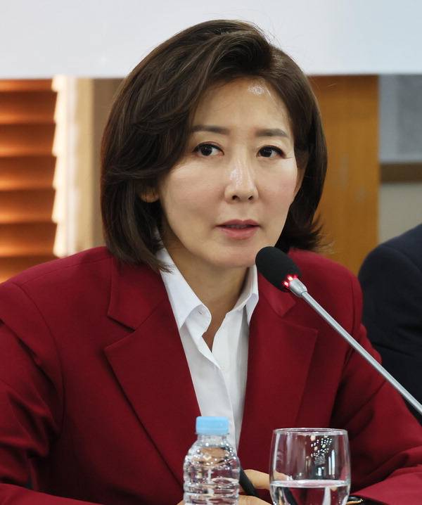 국힘 지도부 尹 임기단축 동의 못해”나경원 정략적 의도 개헌 저도 반대