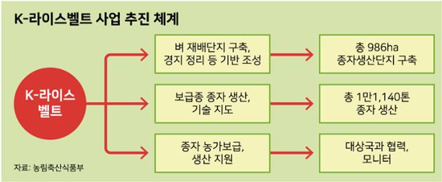 한국 쌀 자급 공신 통일벼 신품종 아프리카 먹여 살린다