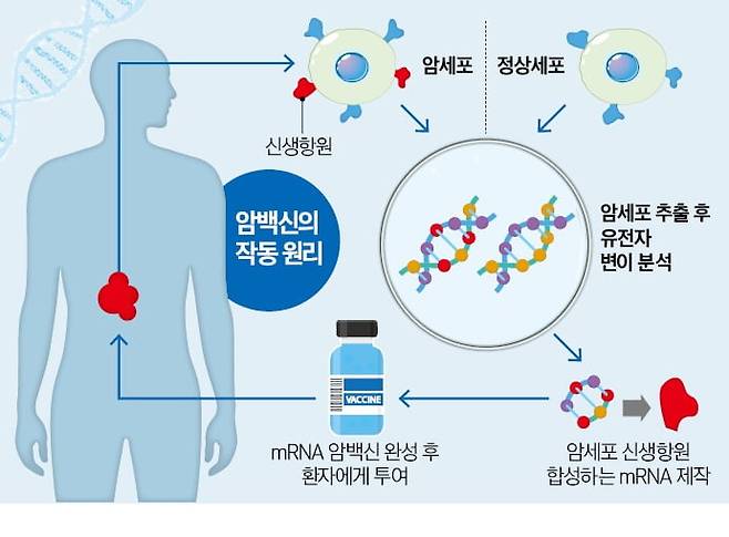 암세포 박살 낼 혁신 나왔다3일이면 꿈의 항암제 제조