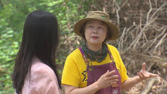 보전산지도 소득원으로전국 1호 숲경영체험림을 가다