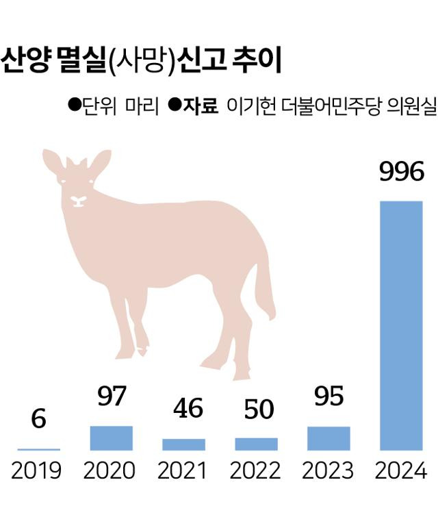 단독 사체로 발견된 천연기념물 산양 결국 1000마리 넘었다