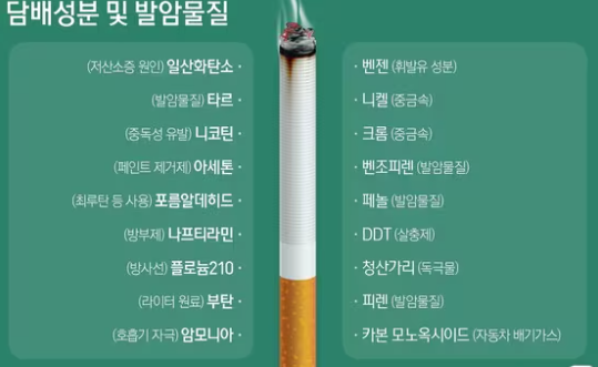 우리가 아는 담배 성분은 ‘빙산의 일각 신종담배 발암률 연구 20년 소요
