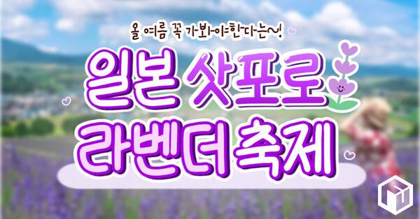 2024 일본 삿포로 라벤더 축제 총정리 여행톡톡