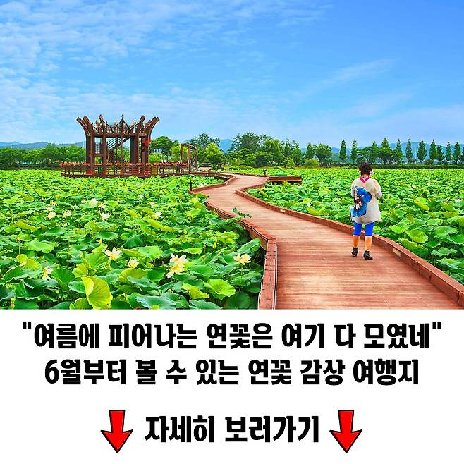 여기는 알려지지 않았으면 좋겠는데 자연을 그대로 느낄 수 있는 국내 여행지 여행을말하다