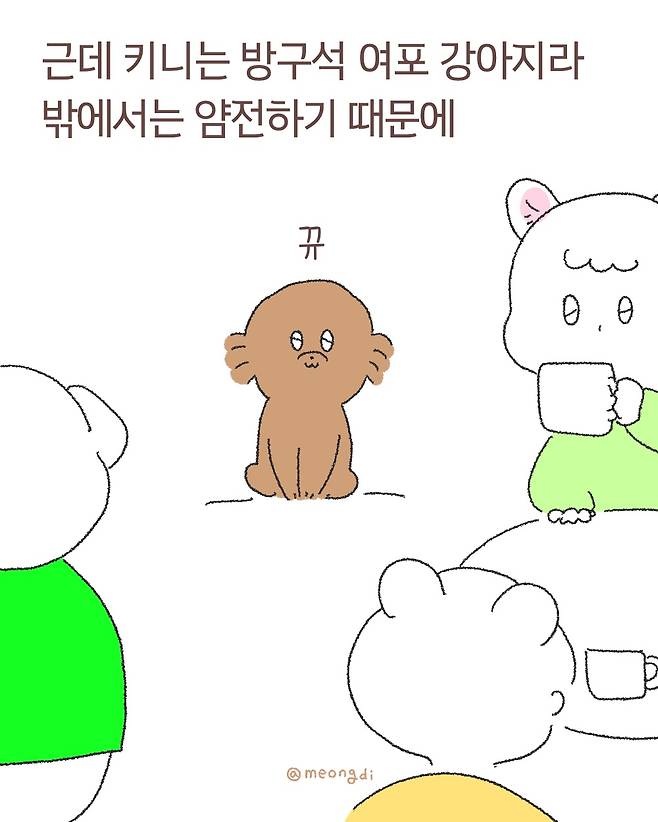 밖에서만 얌전한 강아지 키니일기