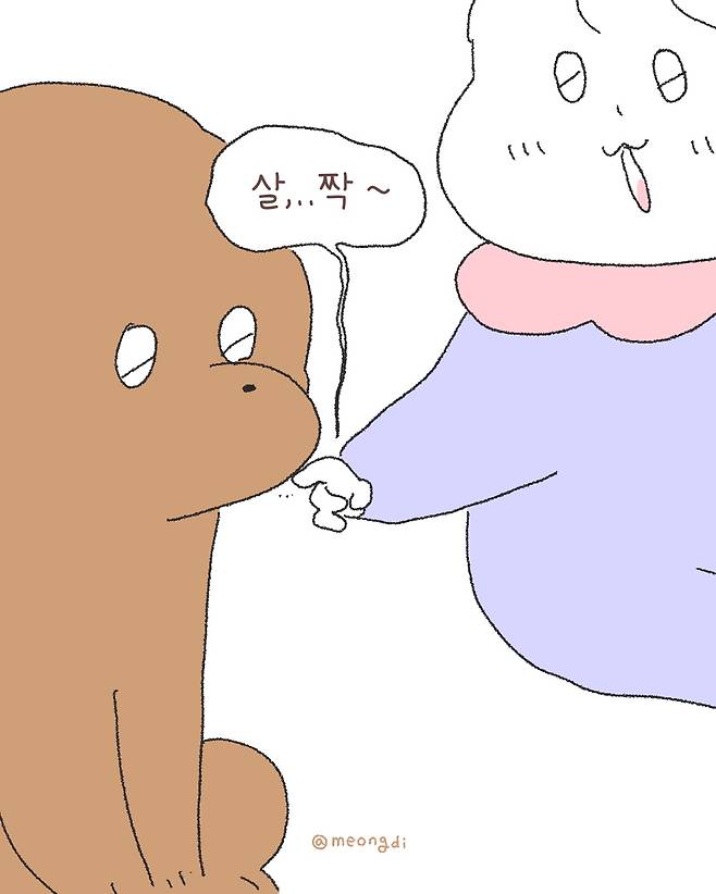 밖에서만 얌전한 강아지 키니일기