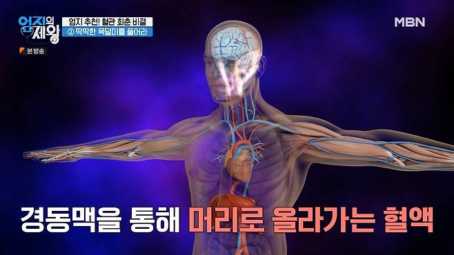 고혈압의 원인 3분 만에 혈압 낮추는 Oo혈 지압법 1일 1짤