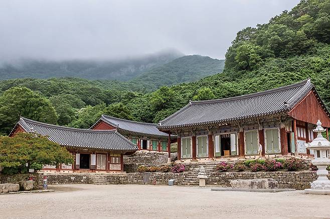 최갑수의 여행이라는 꽃다발 전북 고창 신나는 갯벌 체험에 시간 가는 줄 몰라요
