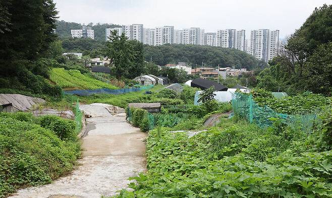 서울 그린벨트 12년 만에 해제 재건축·재개발 절차도 간소화