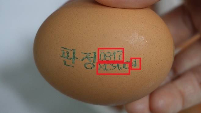 마트에서 이런 계란 제발 사지 마세요 신선한 계란 고르는 법 텐꿀팁