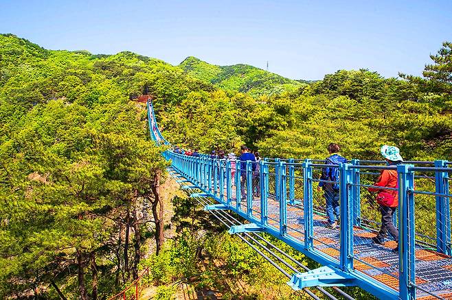 다리 위에 펼쳐지는 절경이 기가 막히네 자연절경을 담은 국내 출렁다리 명소 여행을말하다