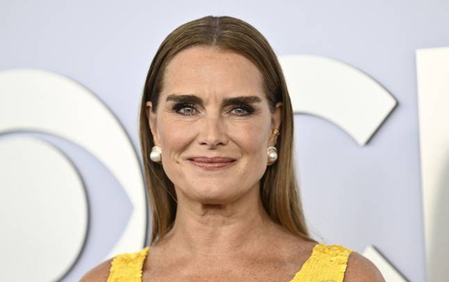 美 배우 브룩 실즈brooke Shields 연극배우노조 지도자 활동 시작