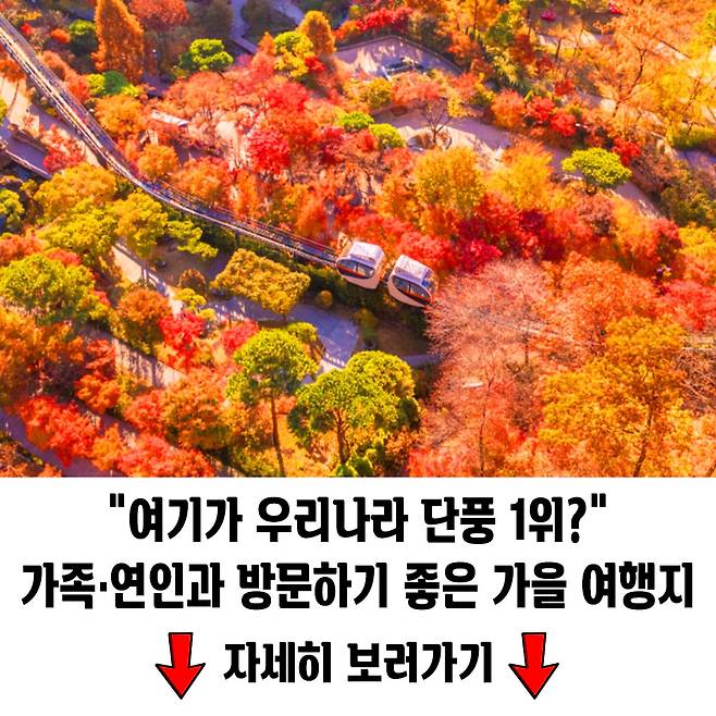 대한민국에서 가장 아름다운 은행나무길 가을철 전국 10대 가로수길 여행지 여행을말하다